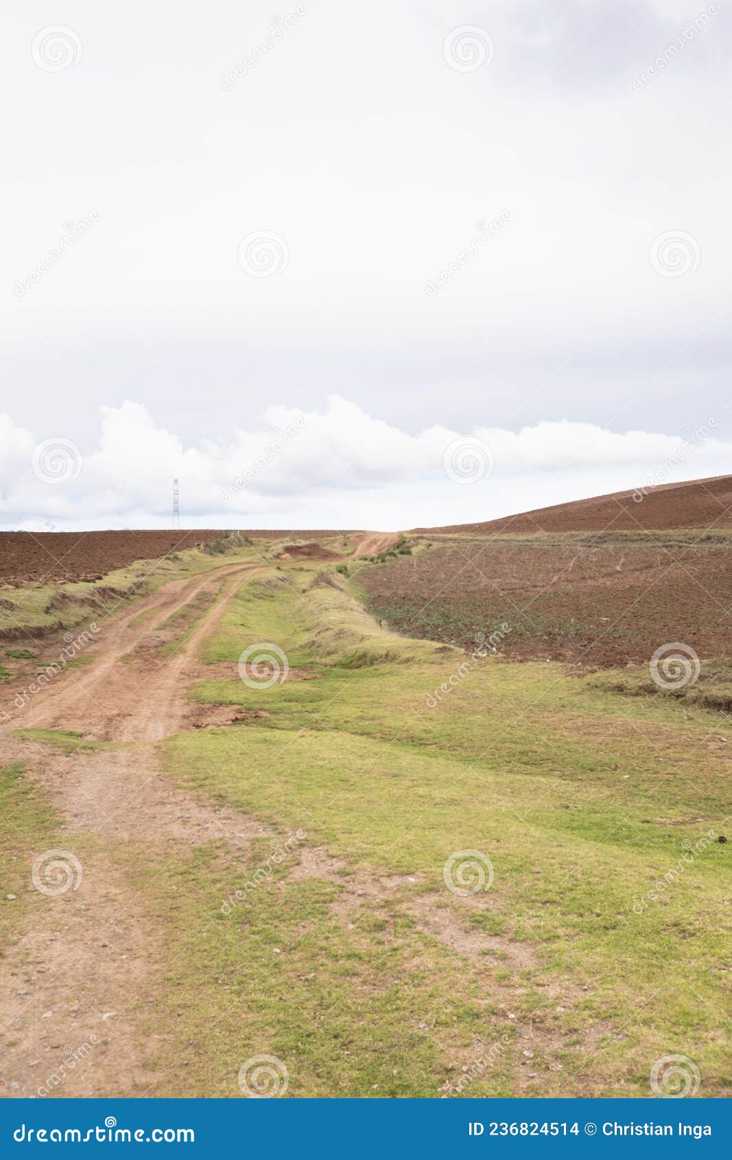 Rural Path on Peruvian Countryside in the Andes. Stock Photo - Image of ...