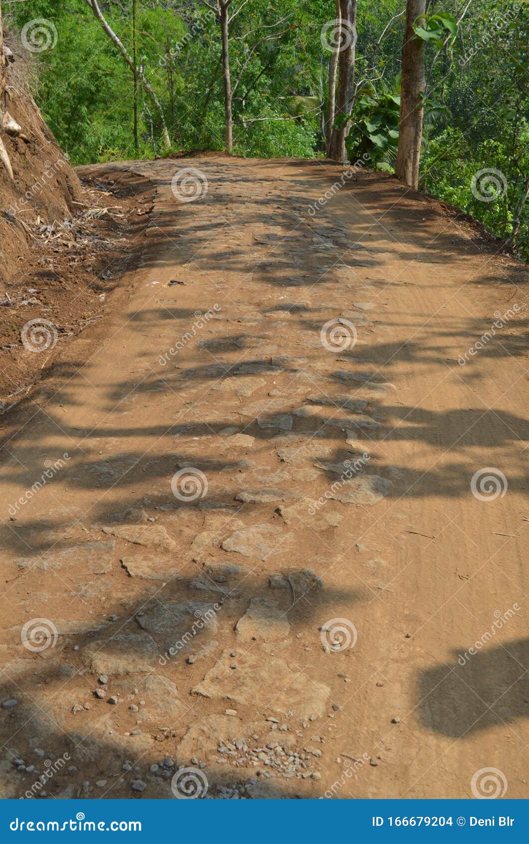 Rural path way stock photo. Image of footpath, path - 166679204