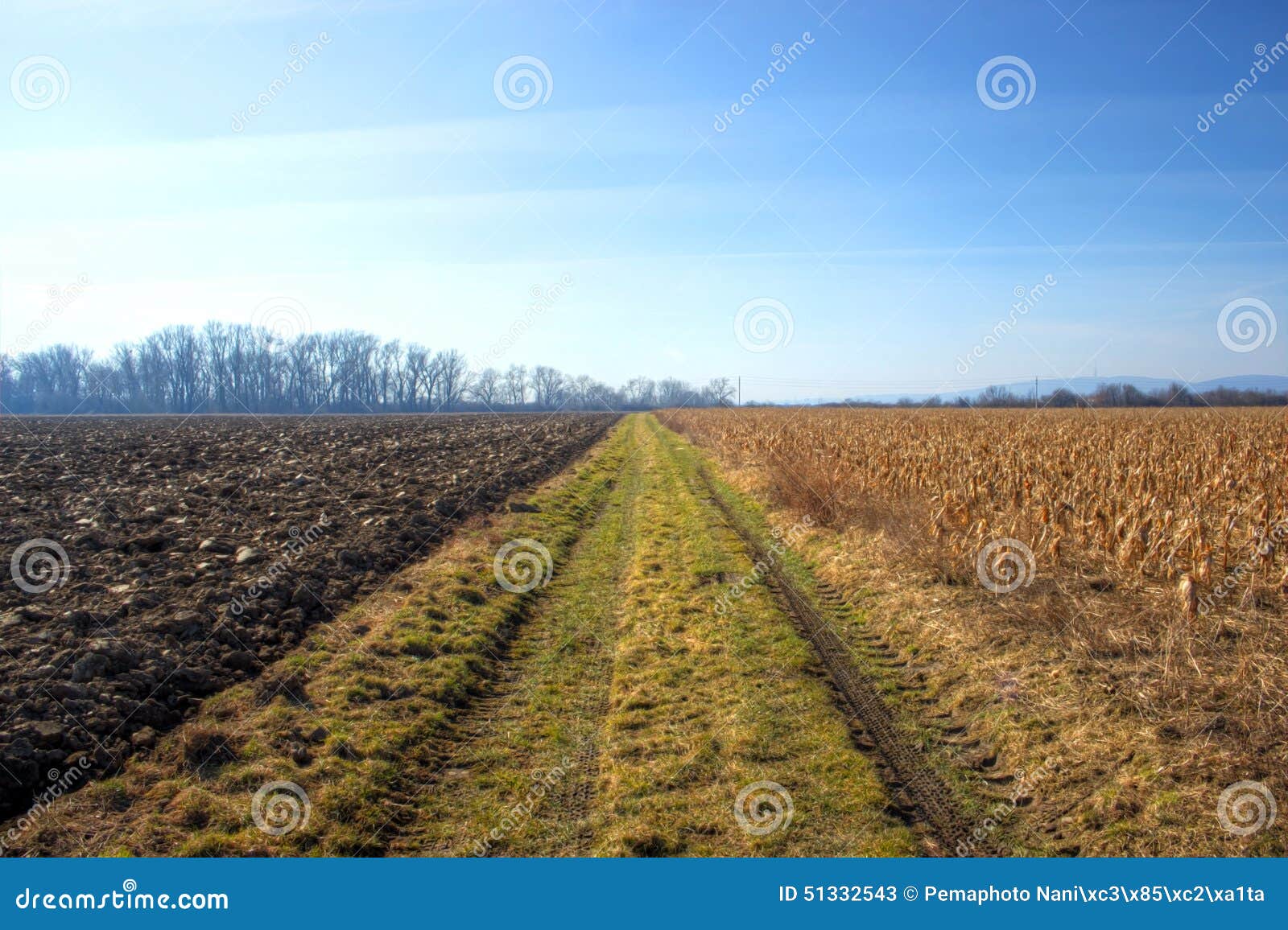 Rural Pathway through Field Stock Image - Image of dirty, field: 51332543