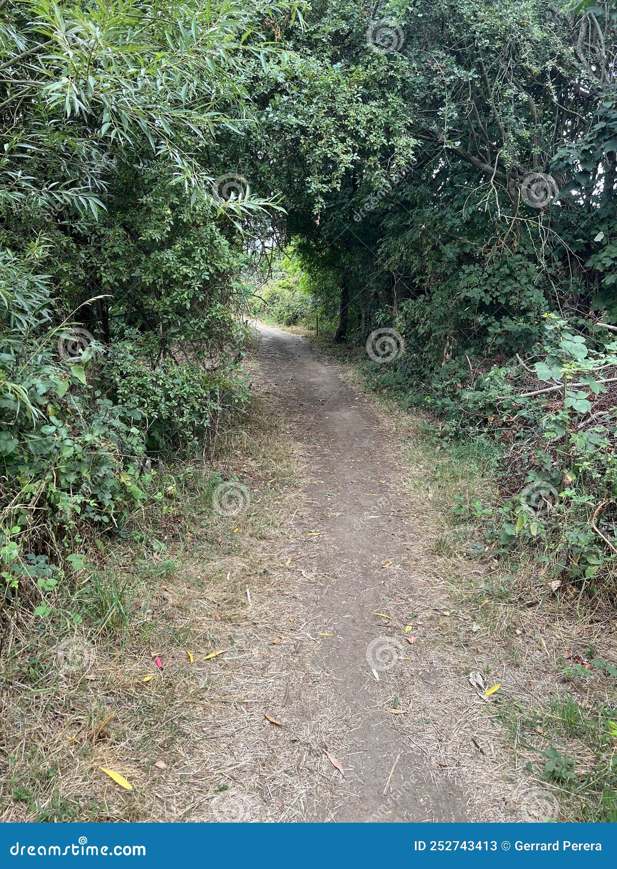 Rural pathways stock image. Image of flower, england - 252743413