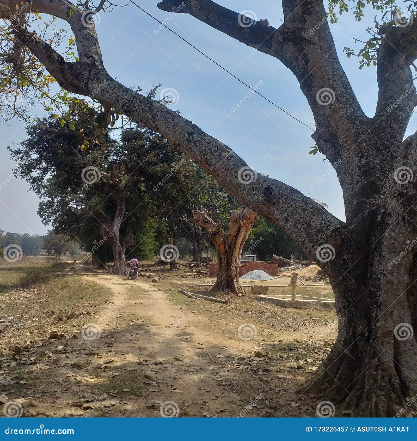 Rural pathways stock image. Image of rural, pathways - 173226457