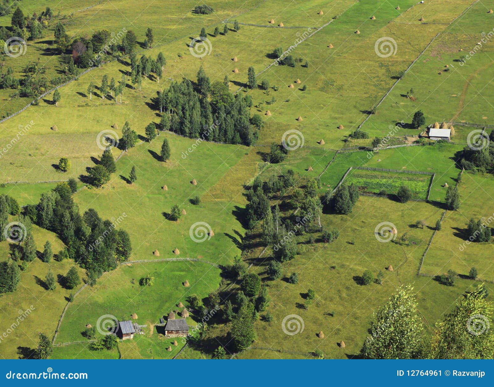 Rural pattern stock image. Image of farmland, green, forest - 12764961