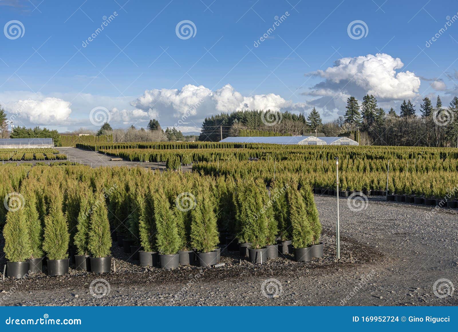Rural Plant Farm Oregon State Stock Photo - Image of pots, fences ...
