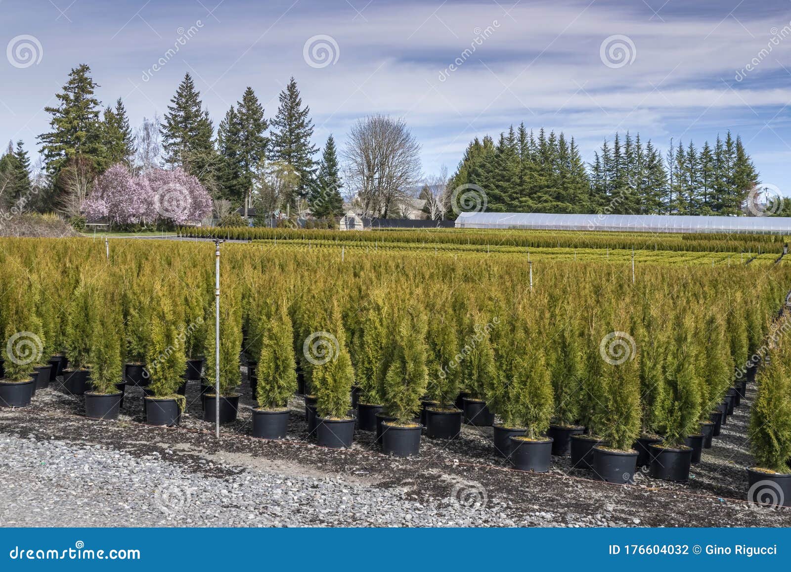 Rural Plant Farm Oregon State Stock Photo - Image of landscape ...