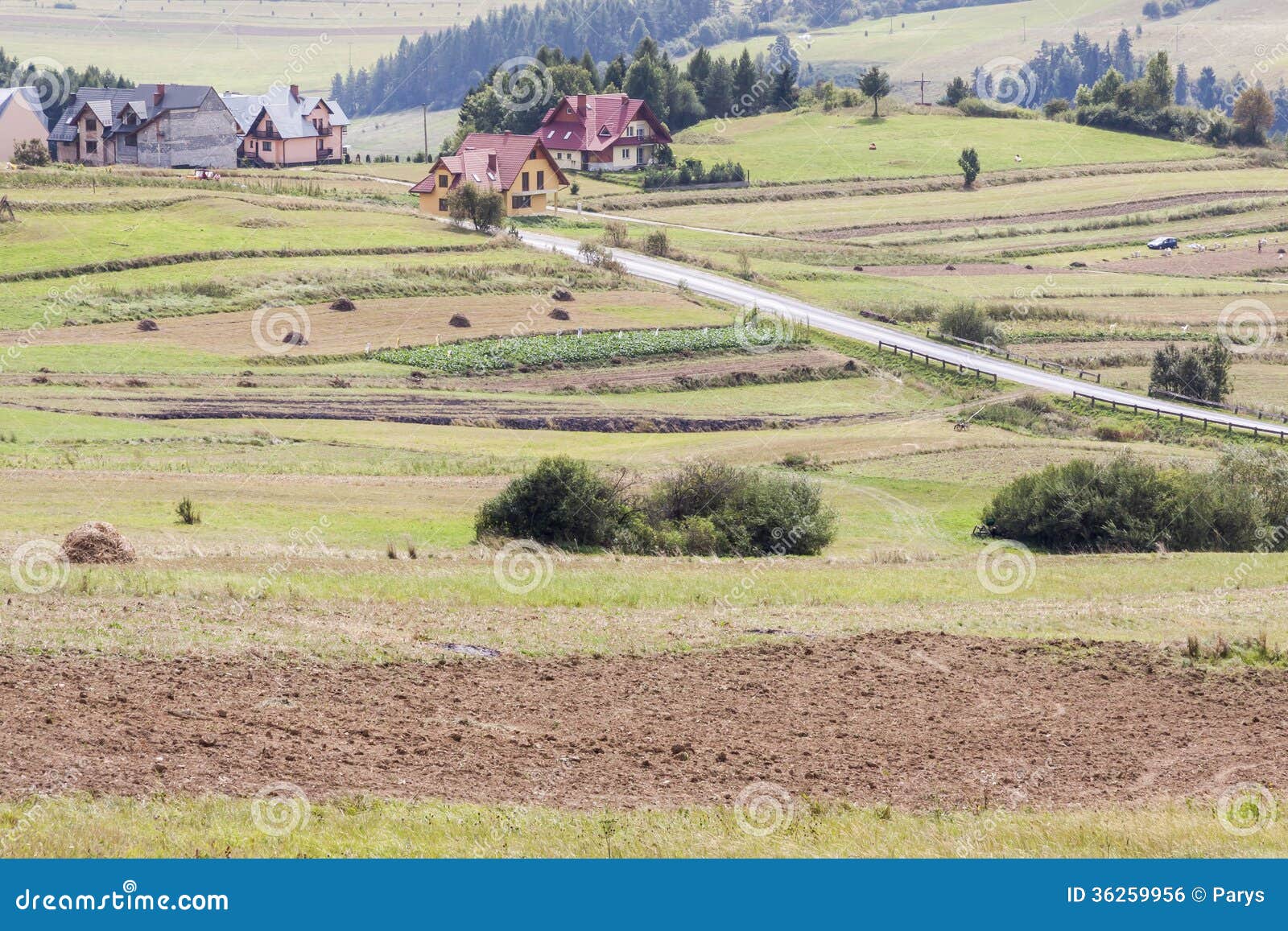 Rural - Poland. stock photo. Image of farmhouse, high - 36259956