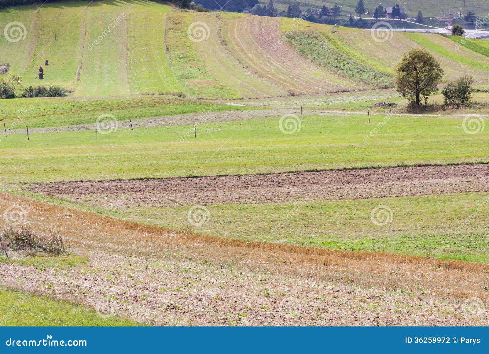 Rural - Poland. stock photo. Image of autumn, carpathians - 36259972