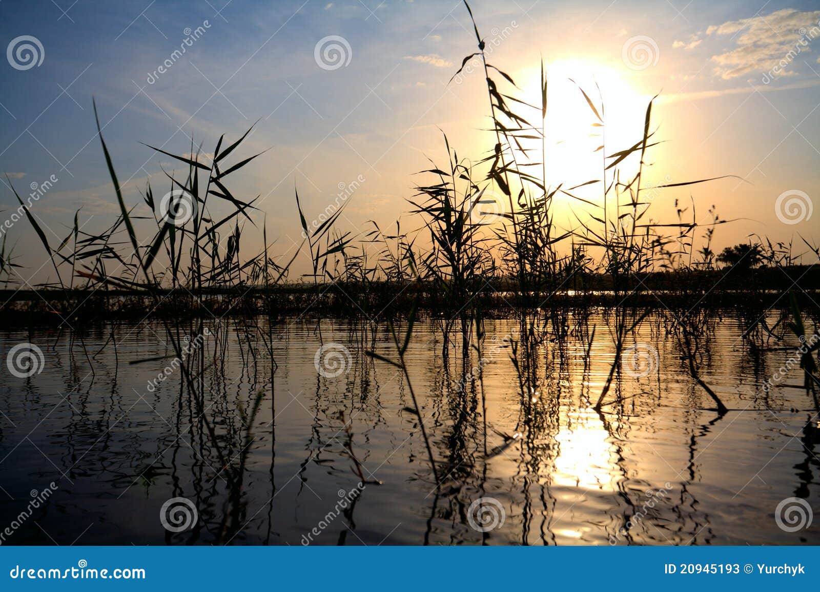 Rural pond at sundown stock image. Image of scenic, natural - 20945193