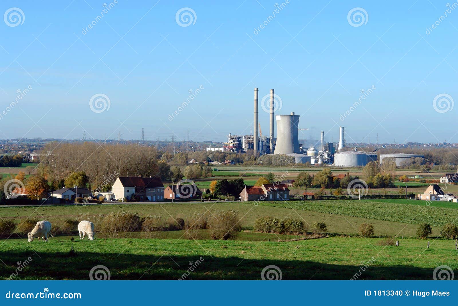 Rural power station. stock photo. Image of animals, landscape - 1813340