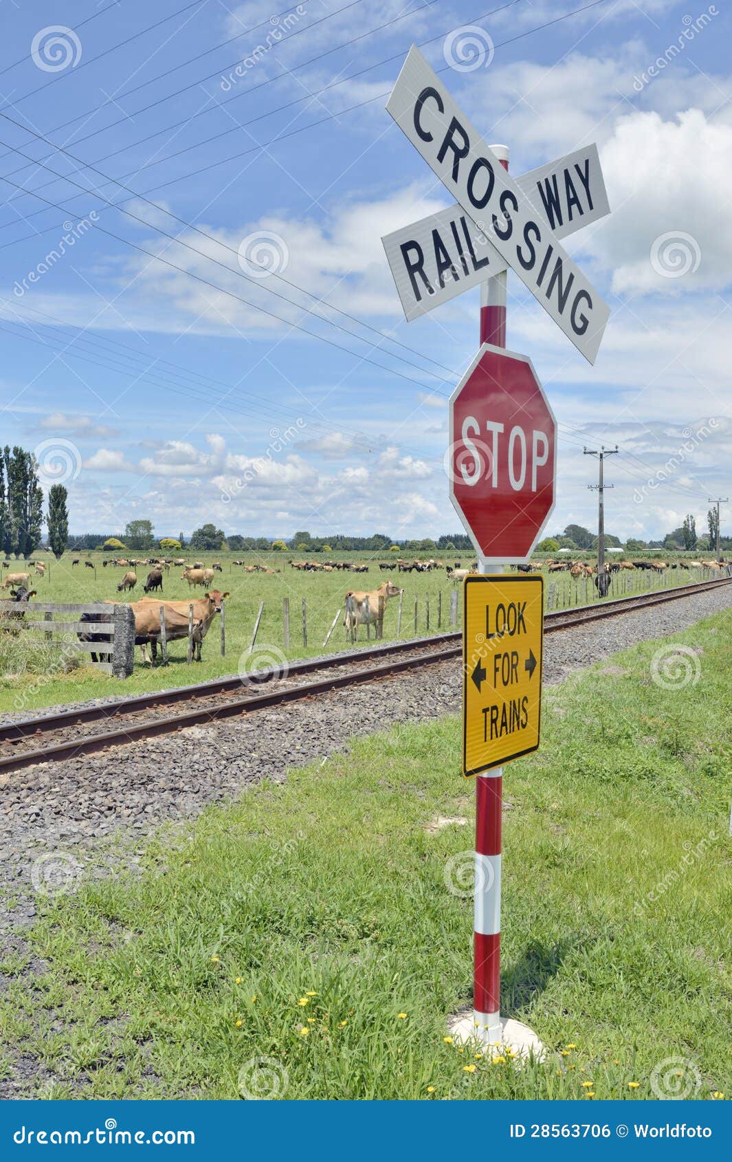 Rural railway crossing stock photo. Image of cloud, railway - 28563706