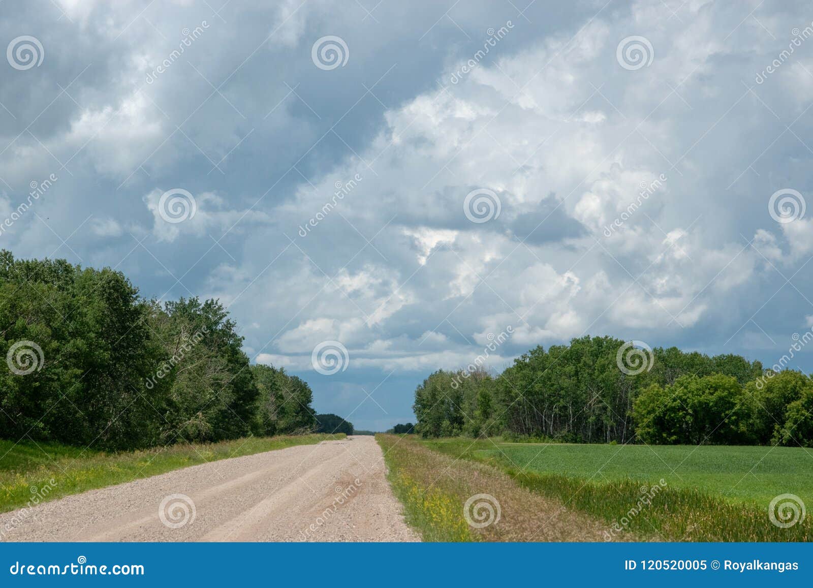 Rural Range Road and Farm Land, Saskatchewan, Canada. Stock Image ...