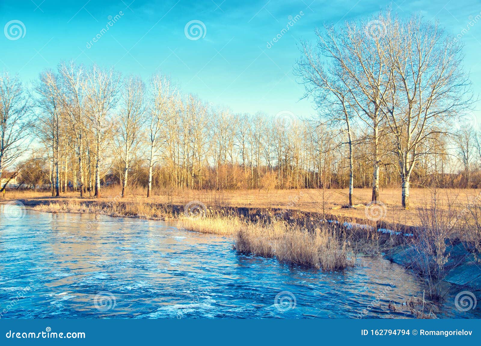 Rural river stock photo. Image of forest, rural, meadow - 162794794