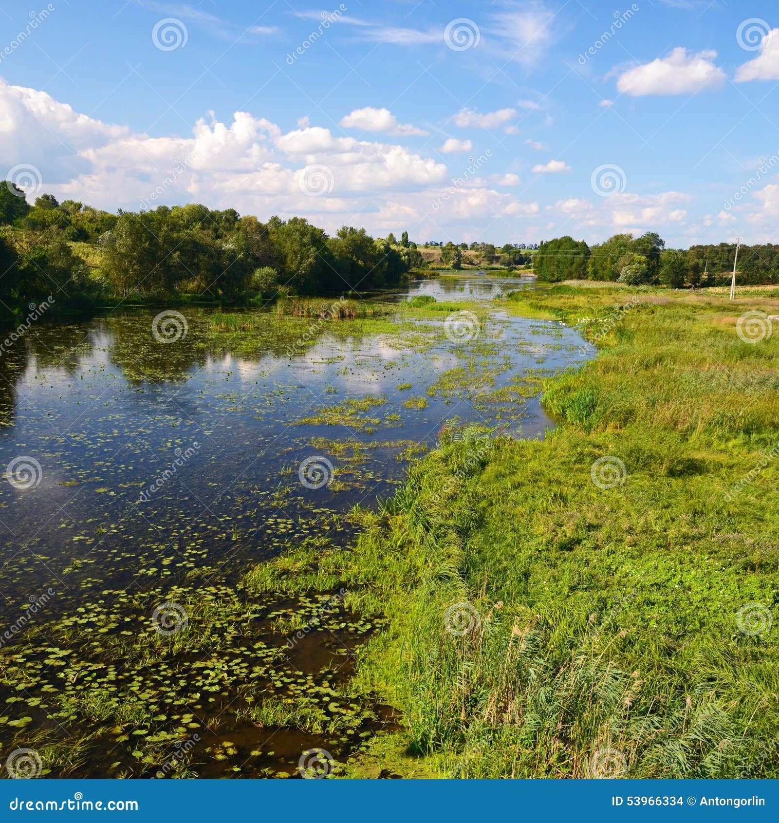 Rural river landscape stock photo. Image of rural, landscape - 53966334