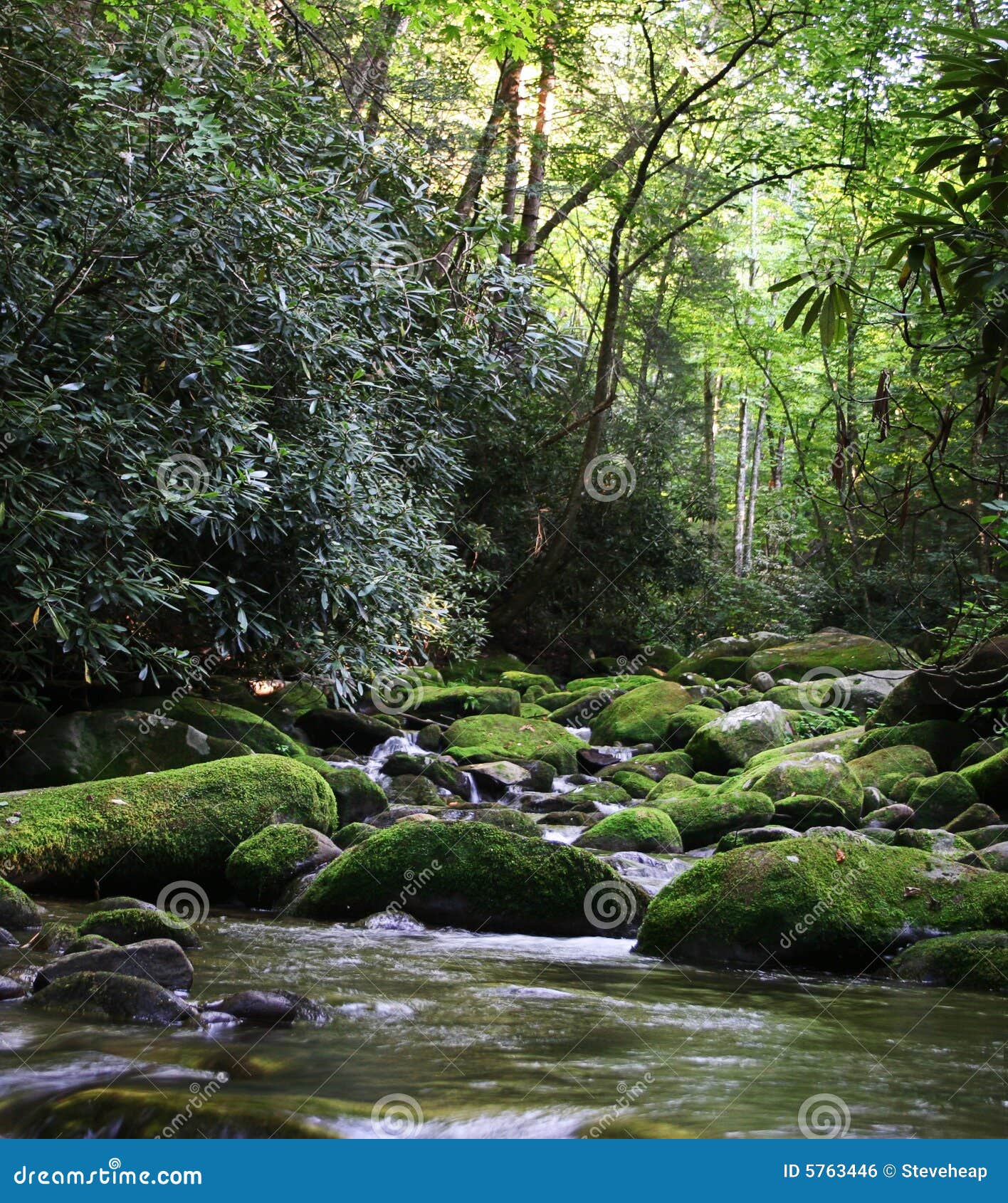 Rural River with Mossy Rocks Stock Photo - Image of creek, ranges: 5763446