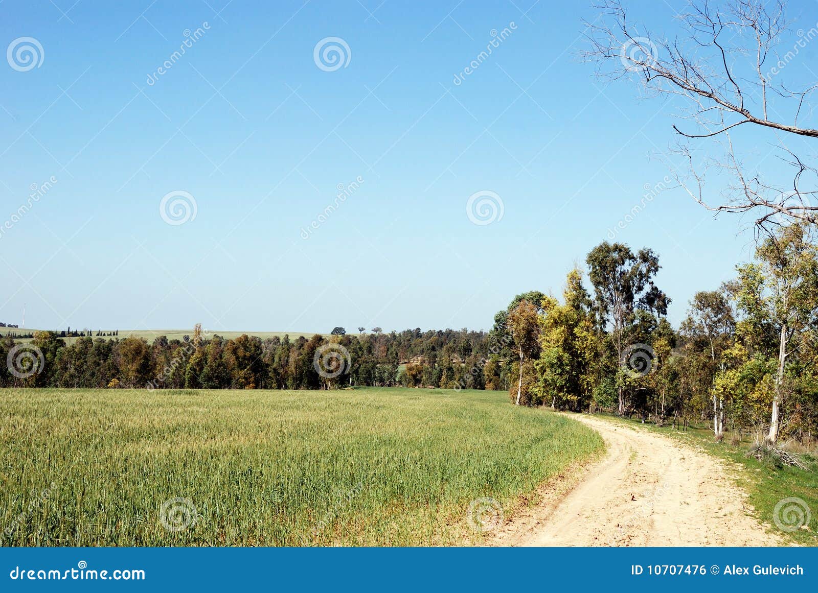 Rural road stock photo. Image of scenics, agriculture - 10707476