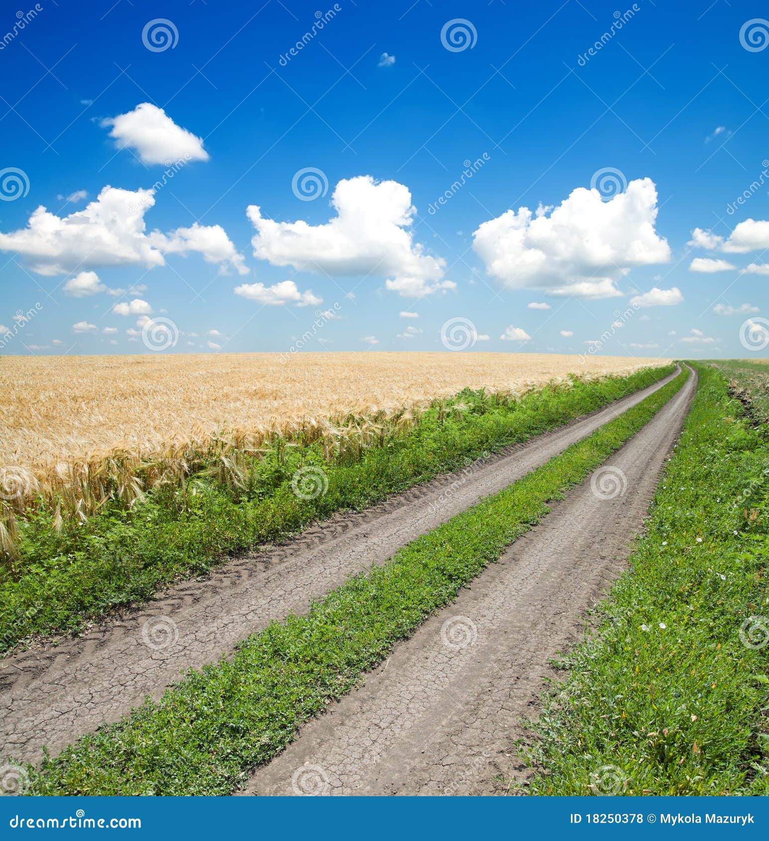 Rural road stock photo. Image of countryside, ecology - 18250378