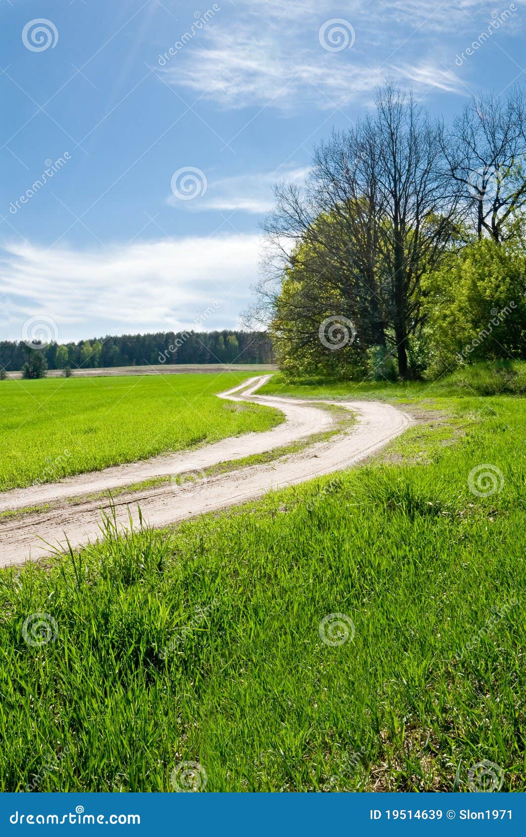 Rural road stock image. Image of outdoor, landscape, rural - 19514639