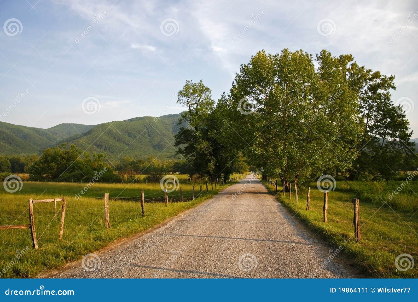 Rural Road stock image. Image of america, tourism, cove - 19864111