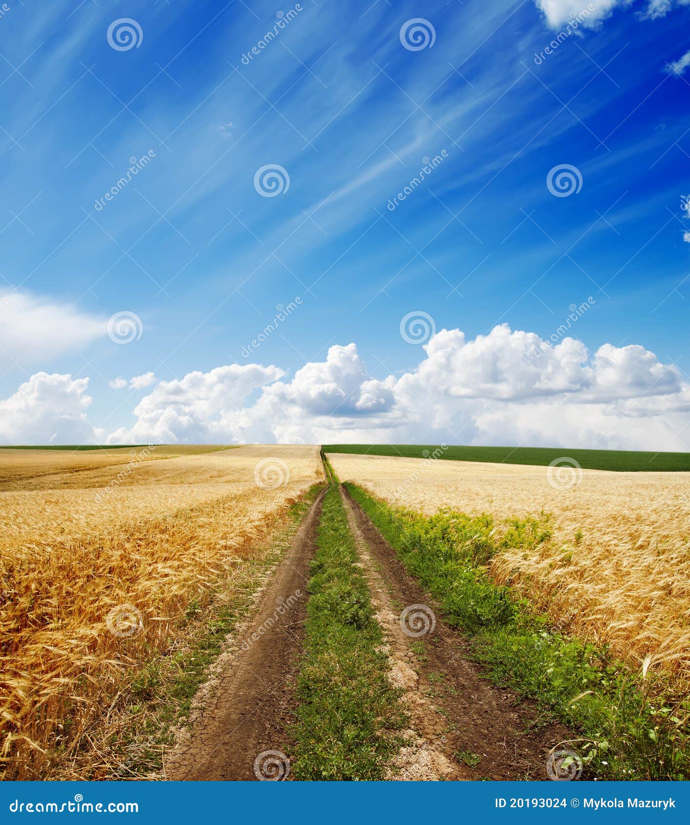 Rural road stock photo. Image of landscape, nature, black - 20193024