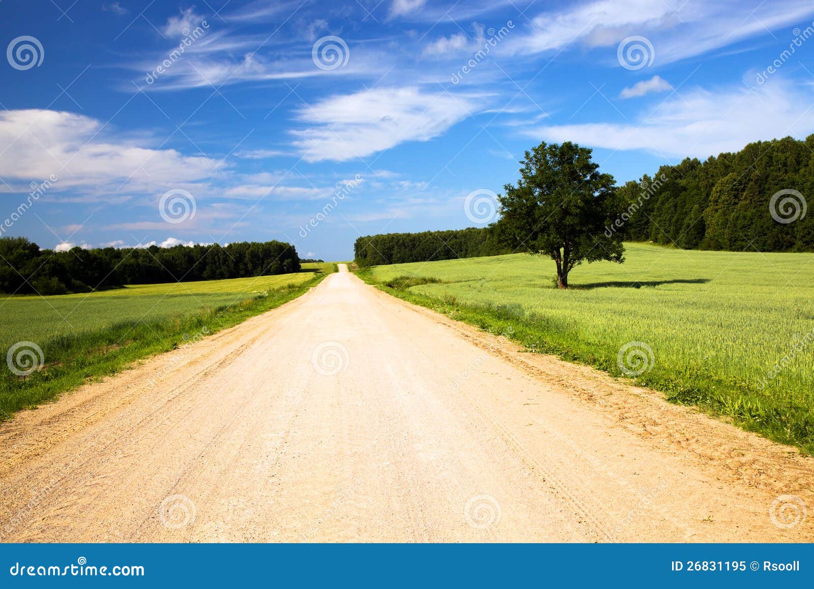 The rural road stock image. Image of lane, country, nonurban - 26831195