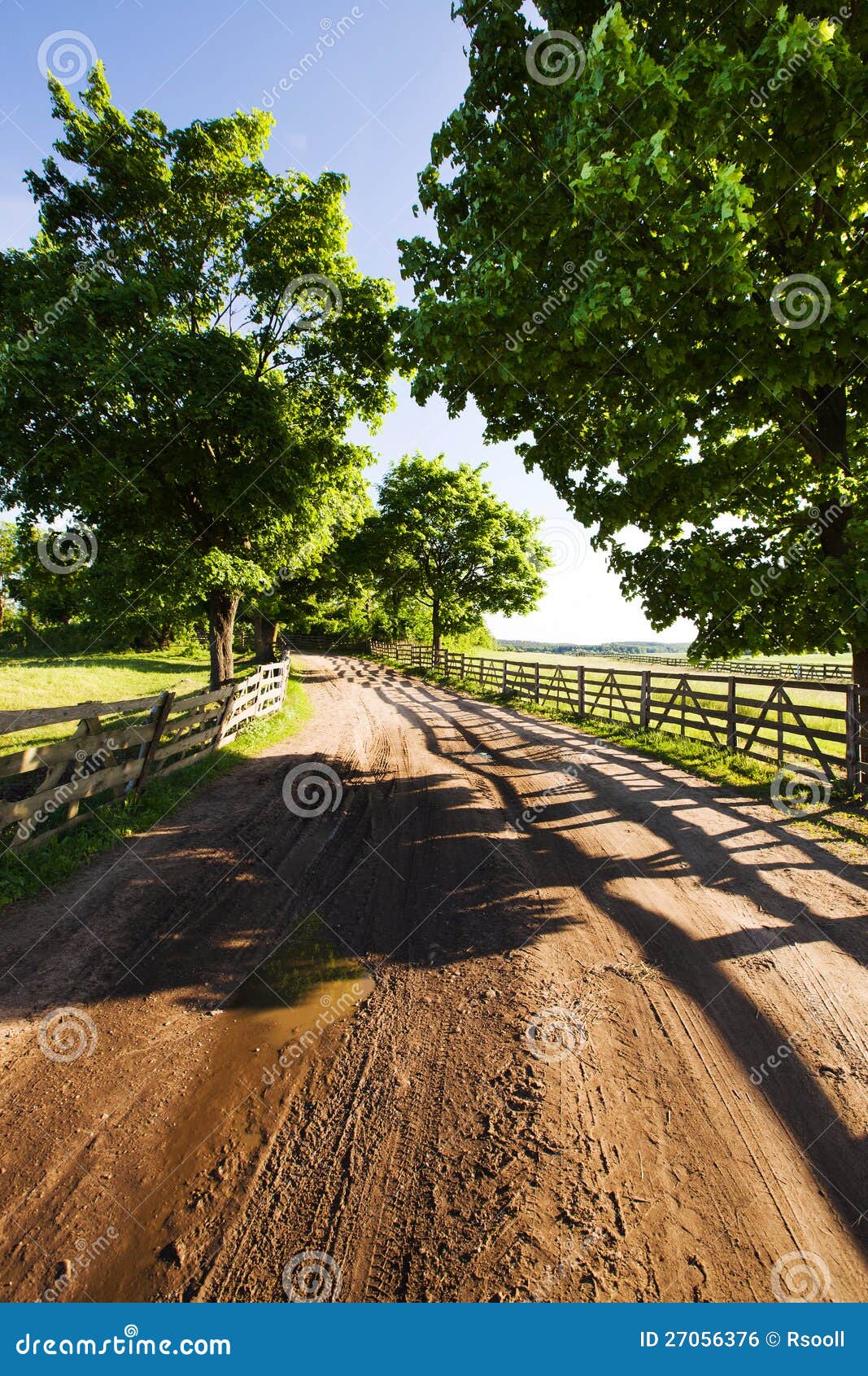 The rural road stock photo. Image of fence, line, area - 27056376