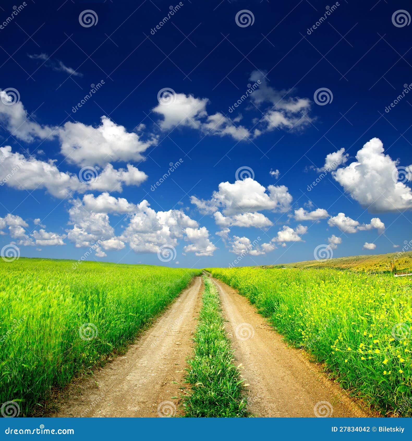 Rural road stock photo. Image of environment, pasture - 27834042