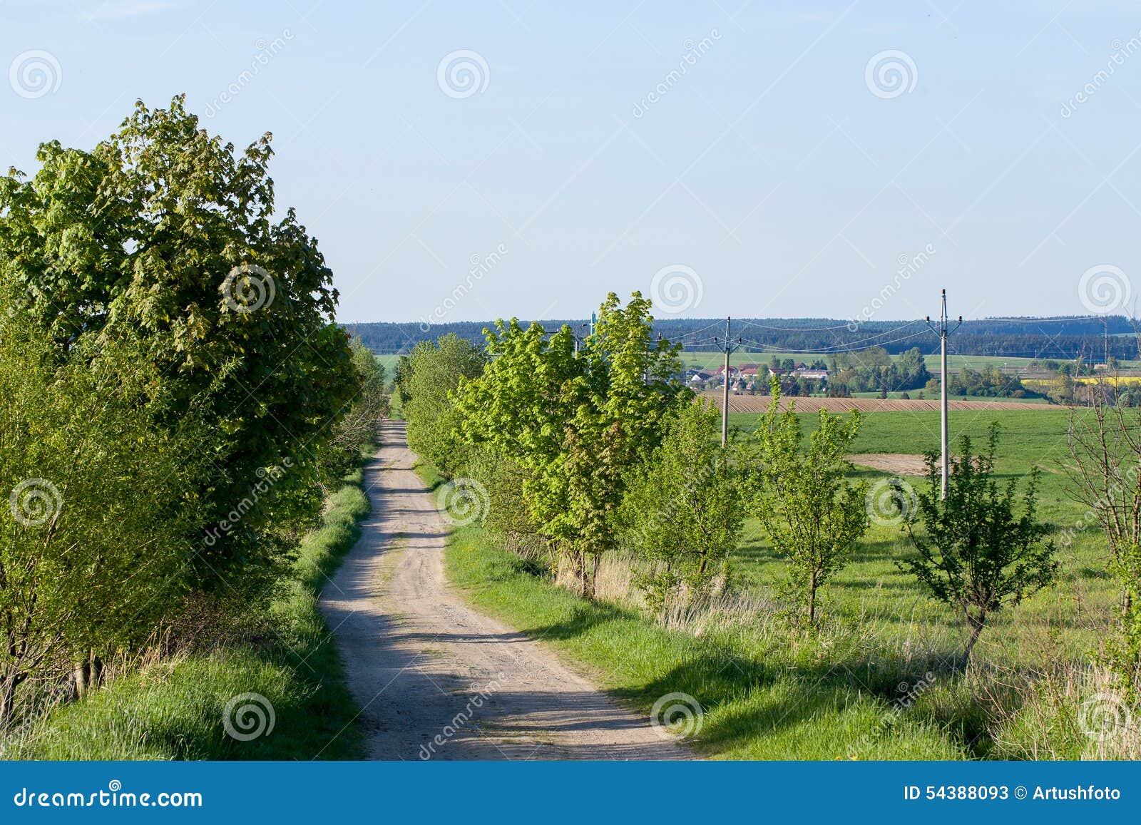 Rural Road on Beautiful Spring Rural Landscape Stock Image - Image of ...