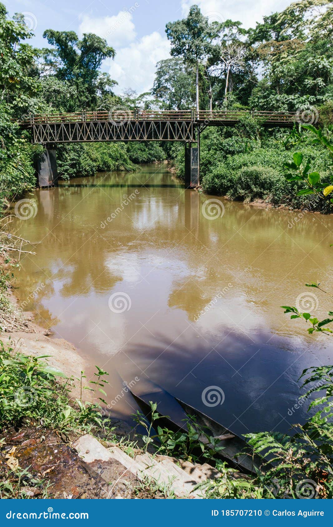 Rural Road Bridge Structure Over River in Amazon Stock Photo - Image of ...