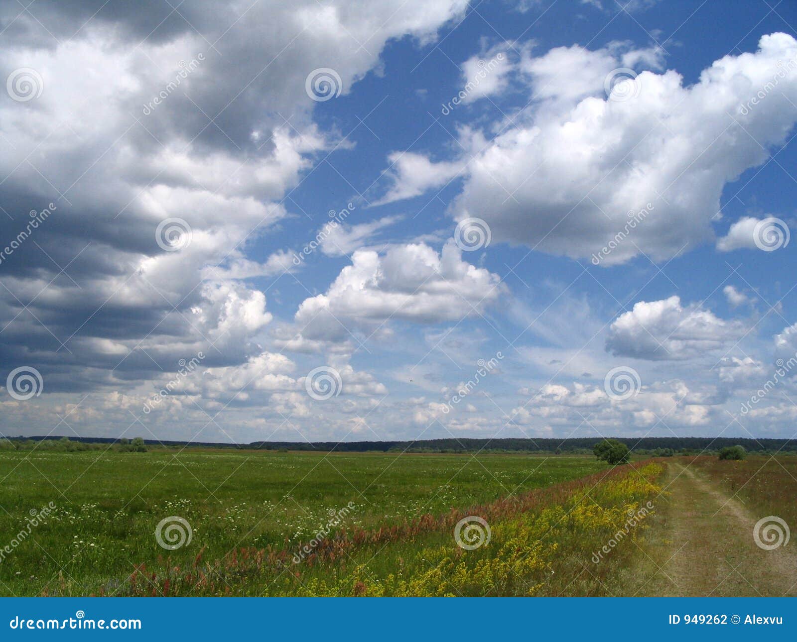 Rural road and clouds stock photo. Image of road, sunny - 949262