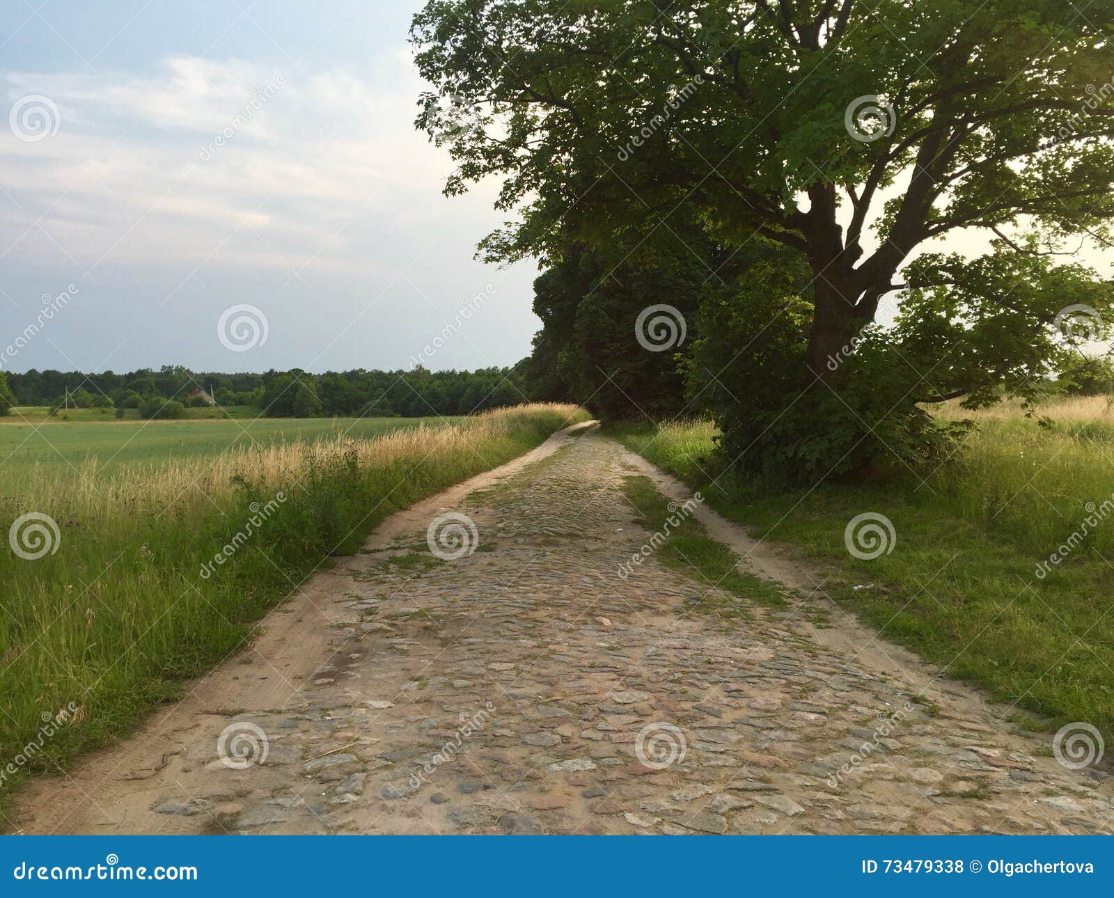 Rural road stock photo. Image of rural, road, pavement - 73479338