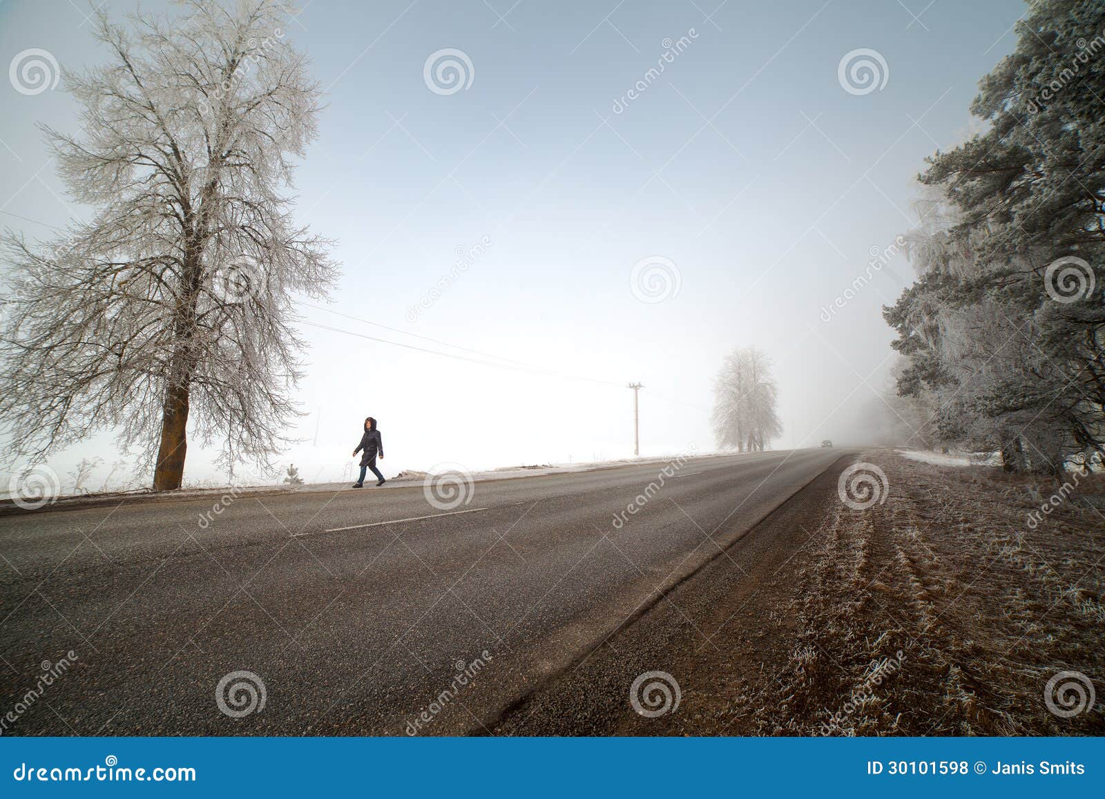 Road in frosty morning. stock photo. Image of path, journey - 30101598