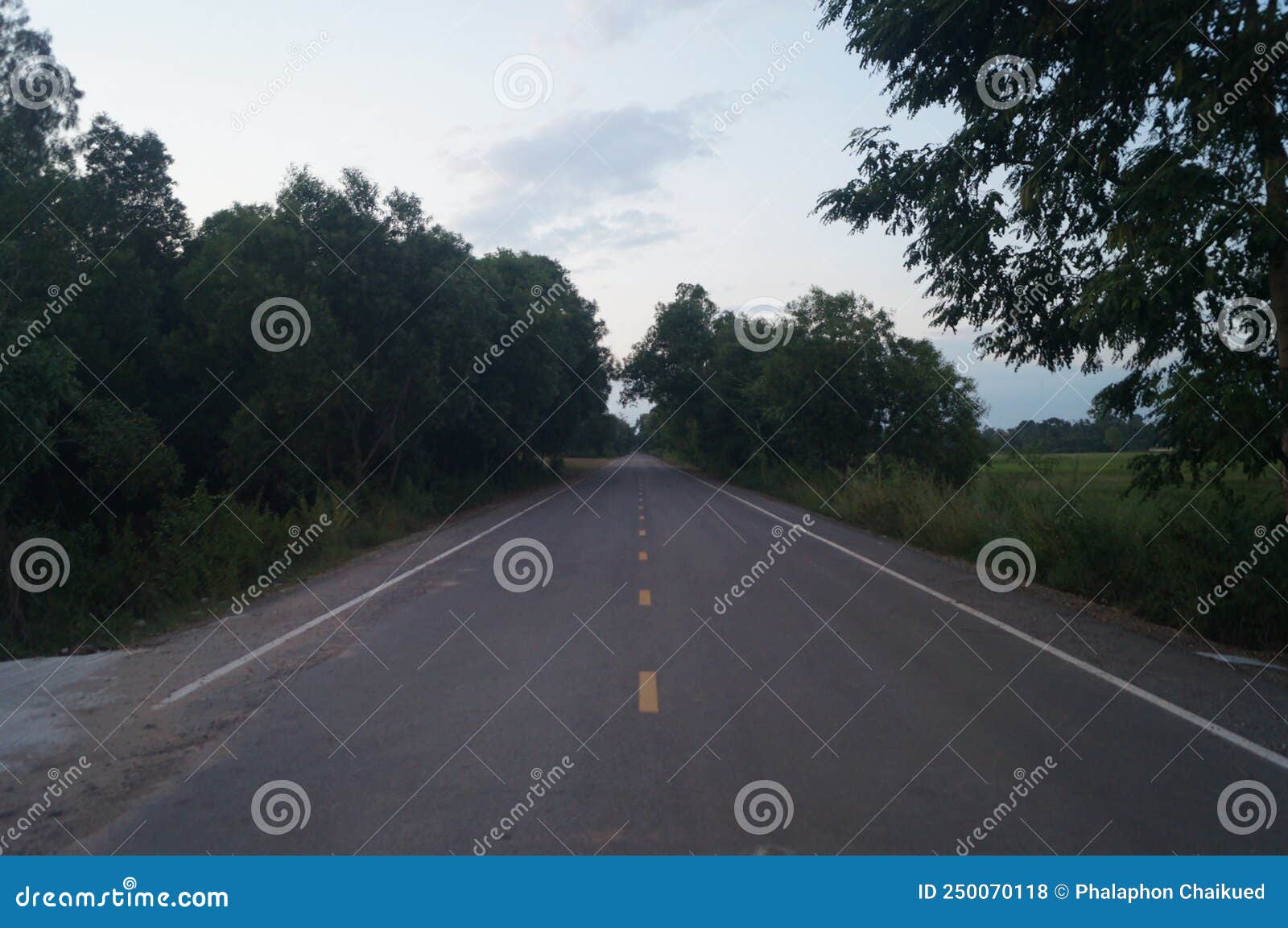 A Rural Road during the Day Stock Photo - Image of road, forest: 250070118