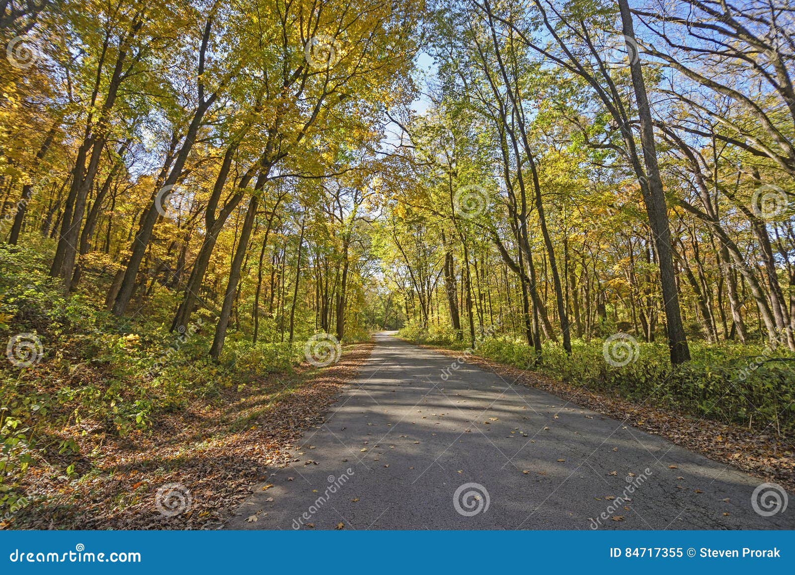 Rural Road in the Fall stock image. Image of scenic, exploration - 84717355
