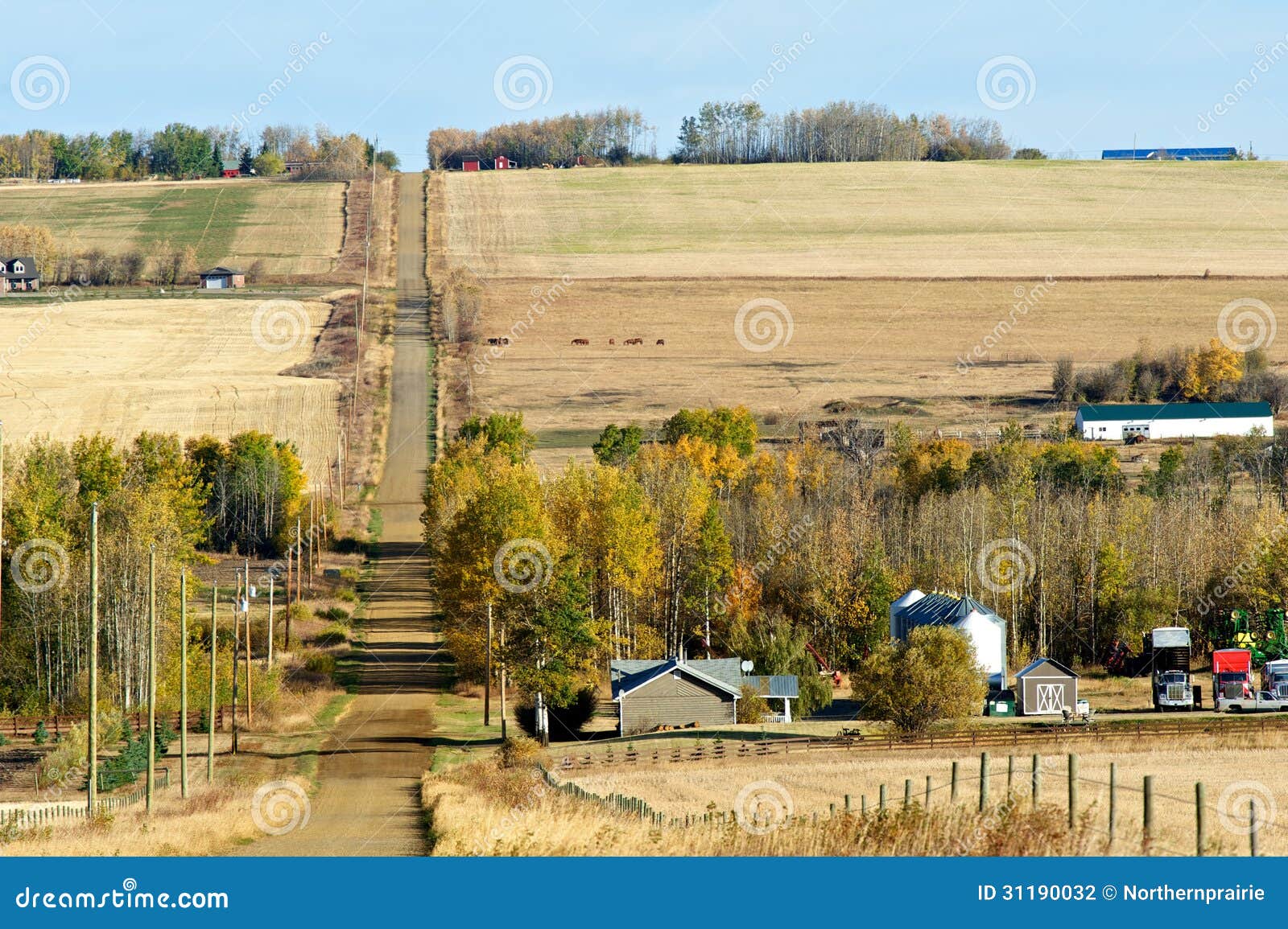 Rural Road and Farms in Fall Stock Photo - Image of building, empty ...