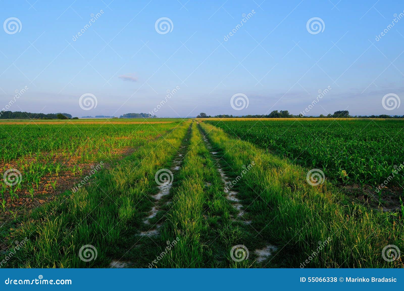 Rural Road through the Fields Stock Photo - Image of countryside ...
