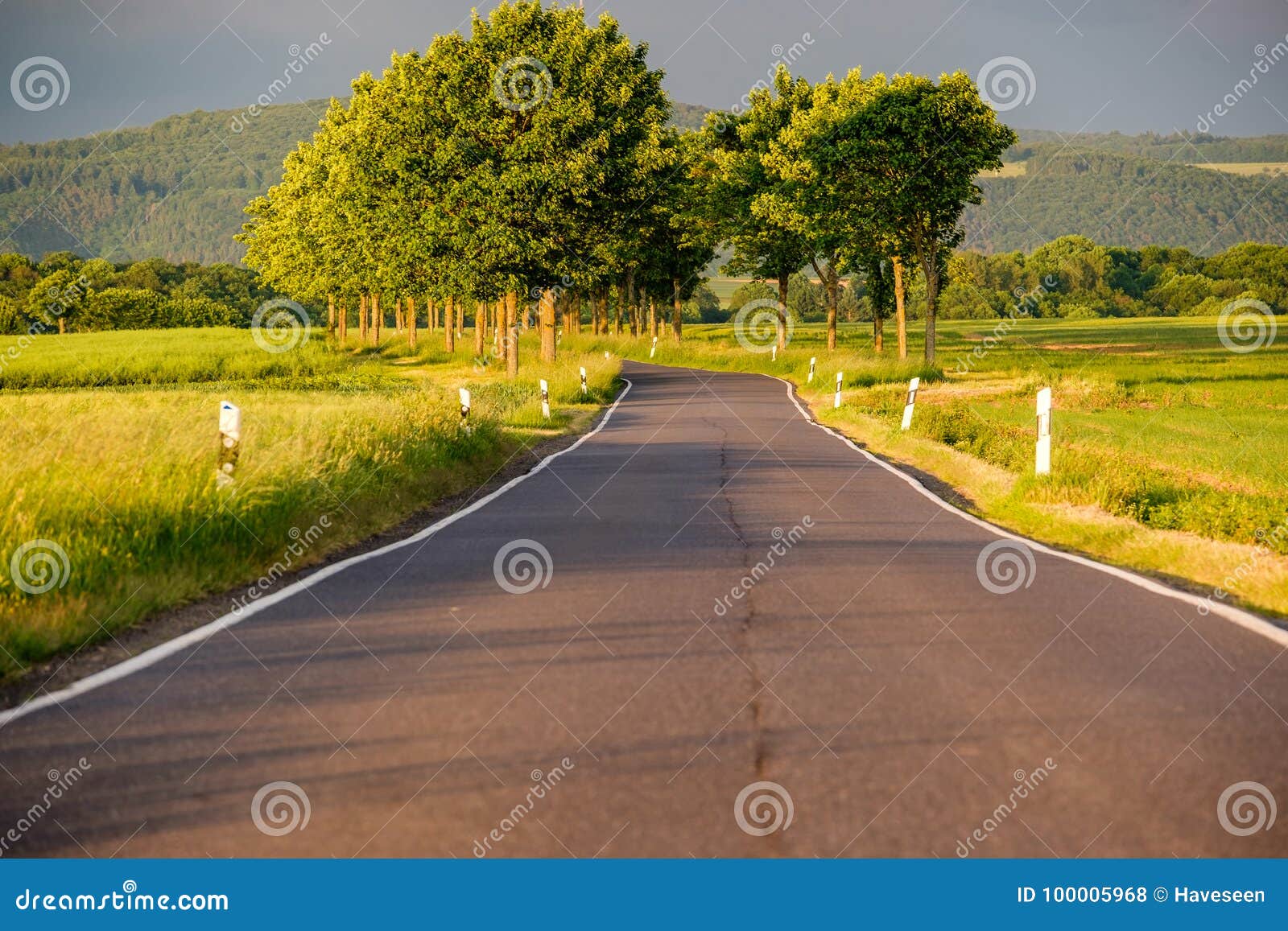Rural Road between Fields in Warm Sunshine Under Dramatic Sky Stock ...