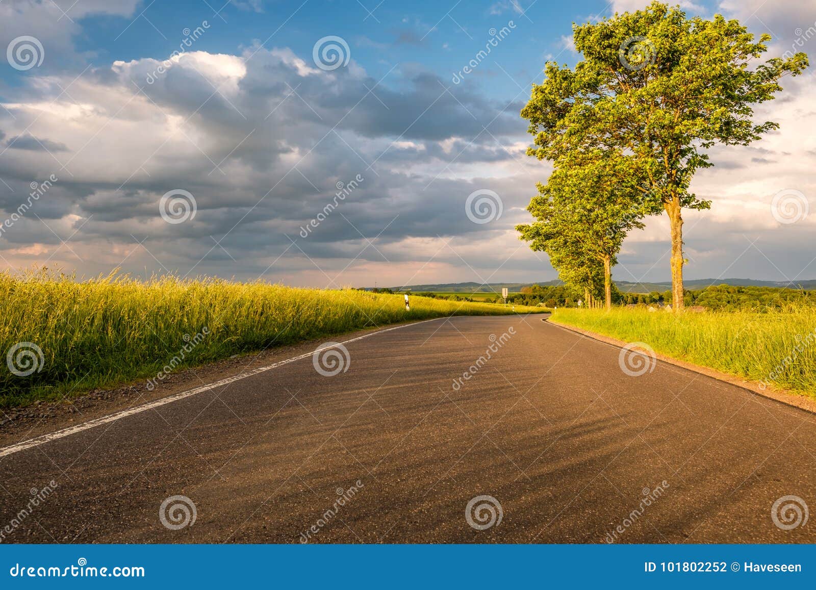 Rural Road between Fields in Warm Sunshine Under Dramatic Sky Stock ...