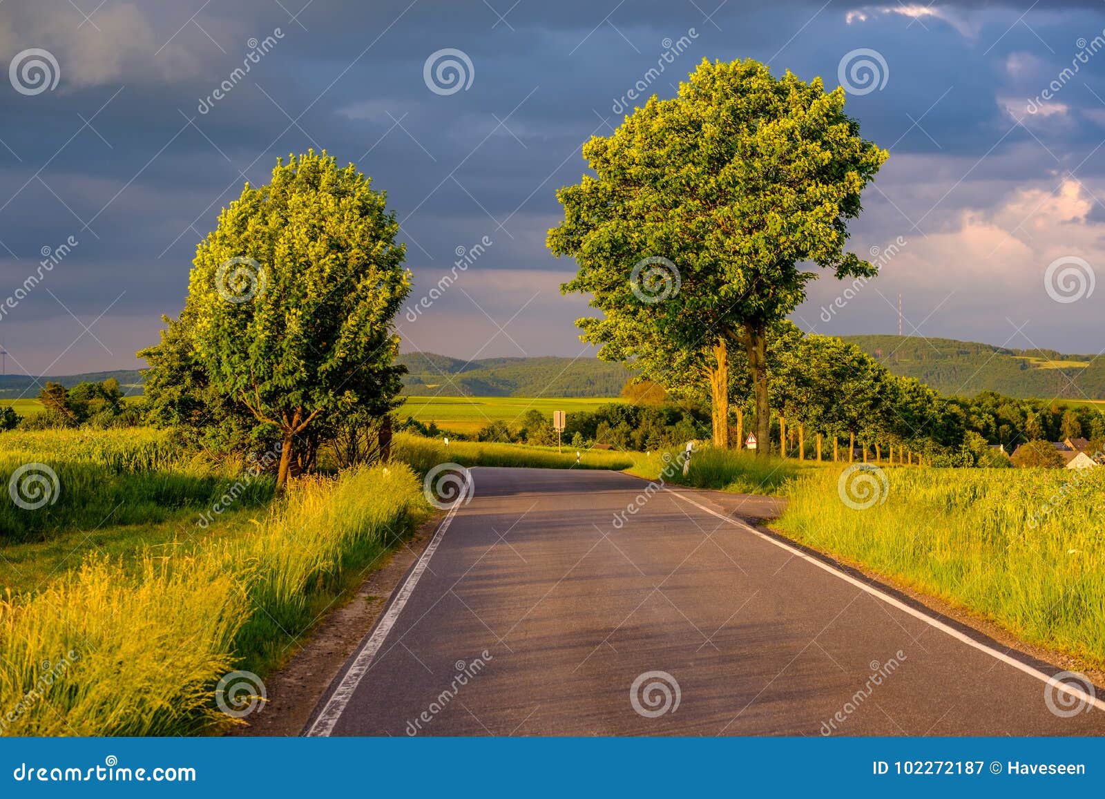 Rural Road between Fields in Warm Sunshine Under Dramatic Sky Stock ...