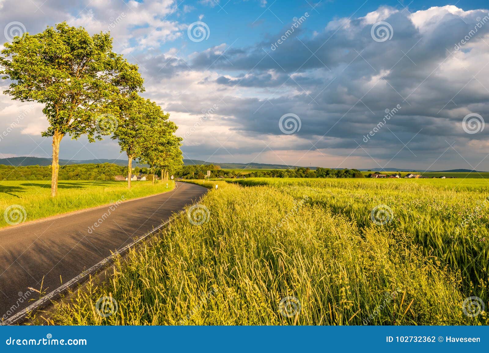 Rural Road between Fields in Warm Sunshine Under Dramatic Sky Stock ...