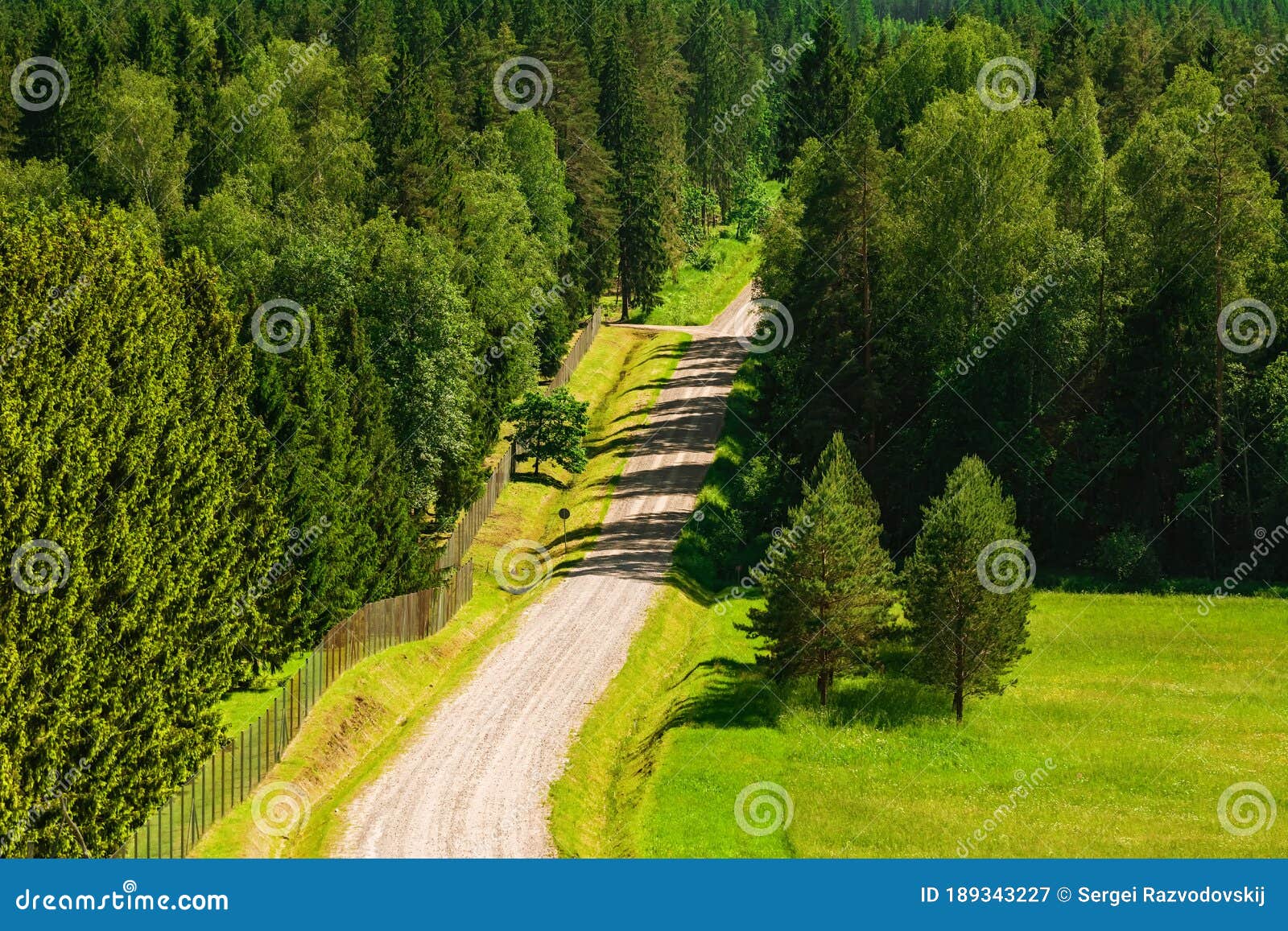 Rural road in the forest stock image. Image of tree - 189343227