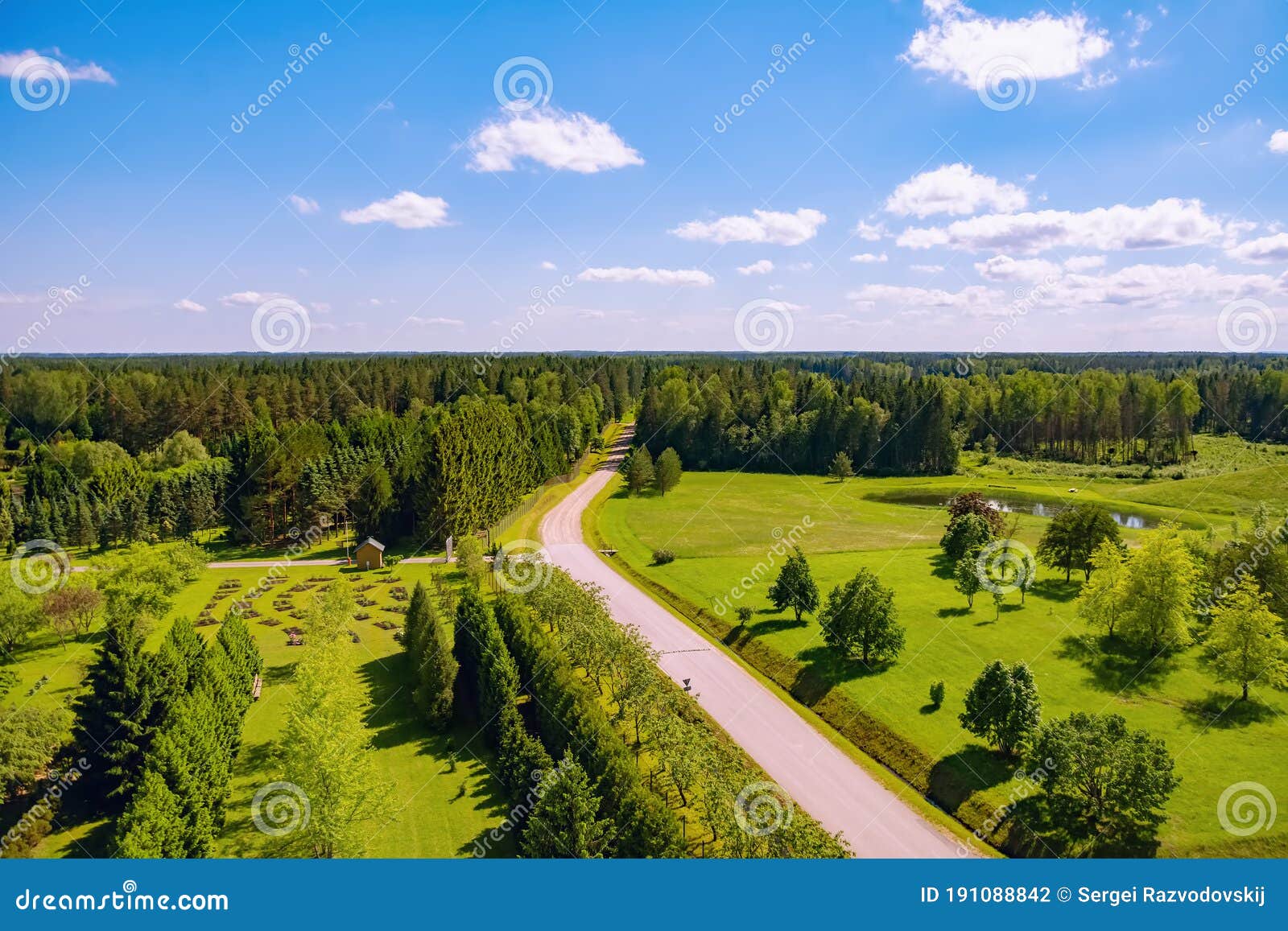 Rural road in the forest stock photo. Image of travel - 191088842