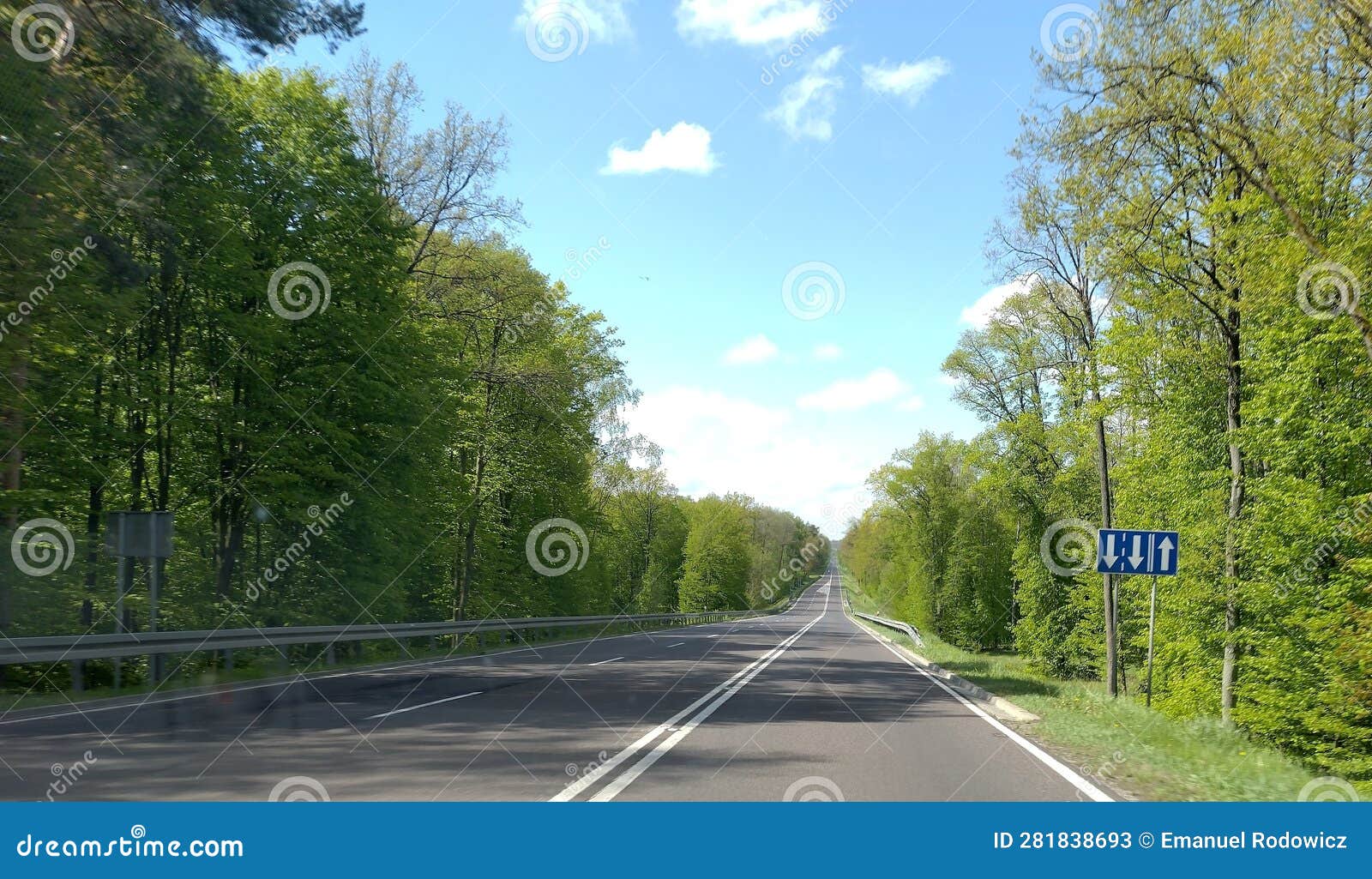 Rural Road Going through a Forest Stock Image - Image of grass, leaf ...
