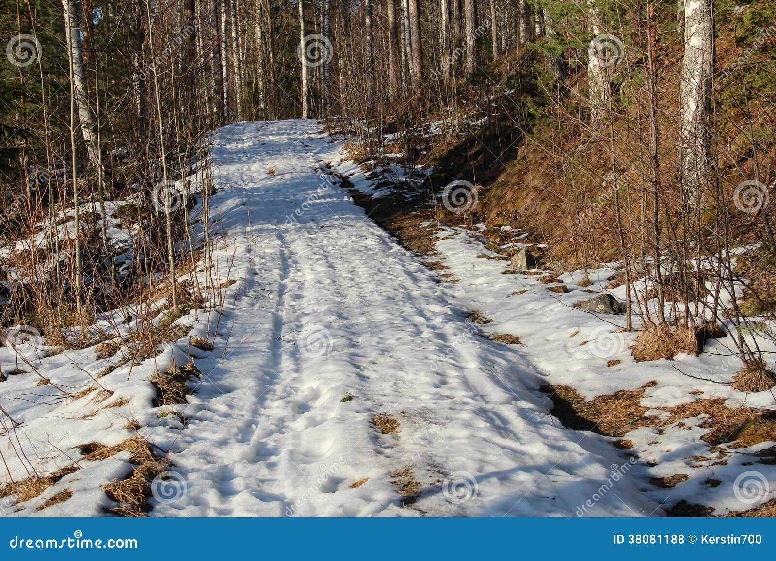 Rural road in late winter stock photo. Image of sunshine - 38081188