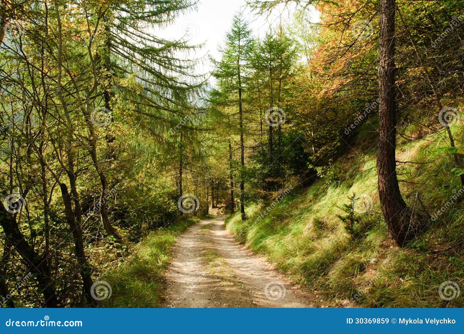 Rural road stock image. Image of park, road, fall, rural - 30369859