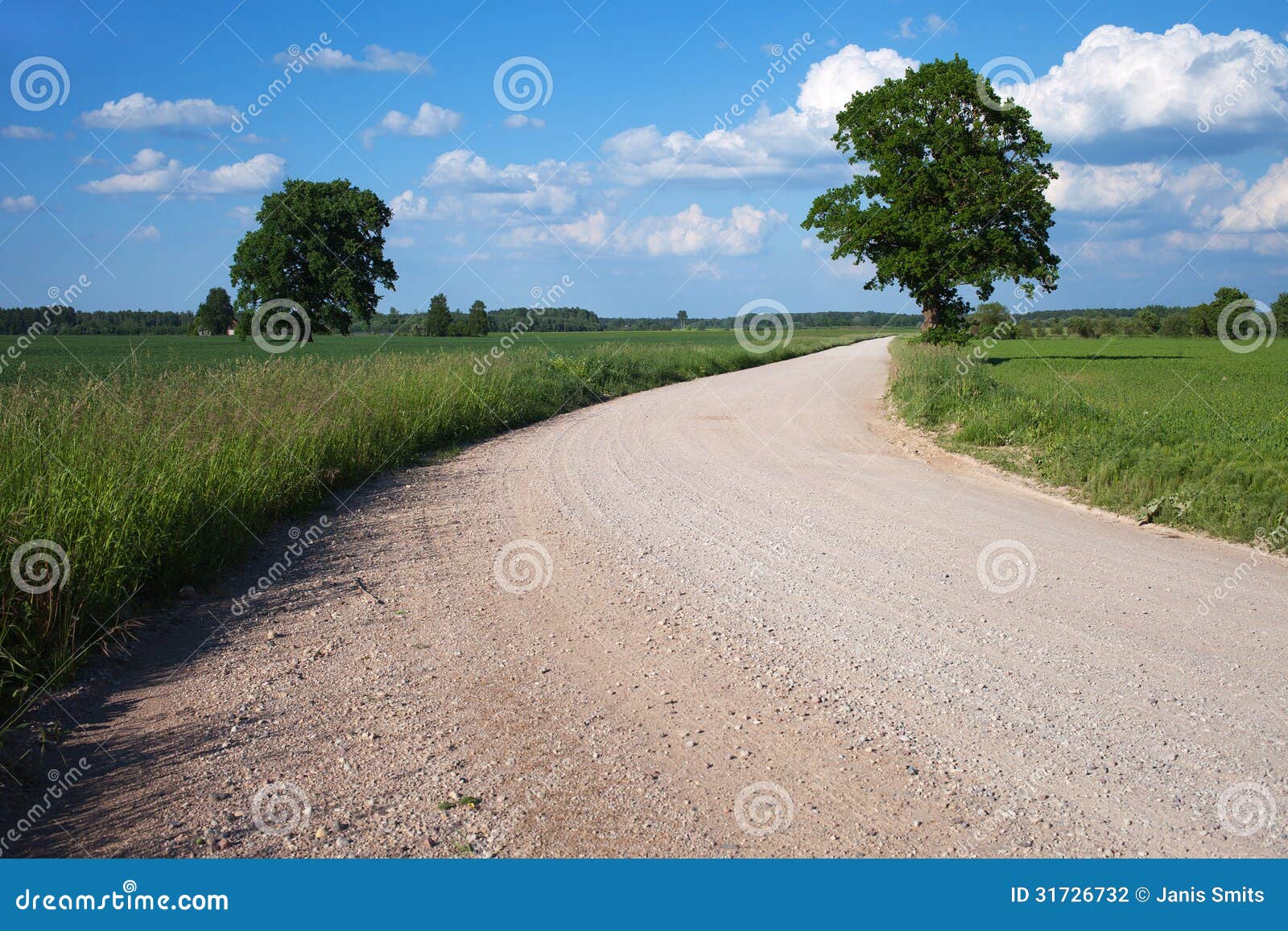 Rural road. stock photo. Image of season, countryside - 31726732