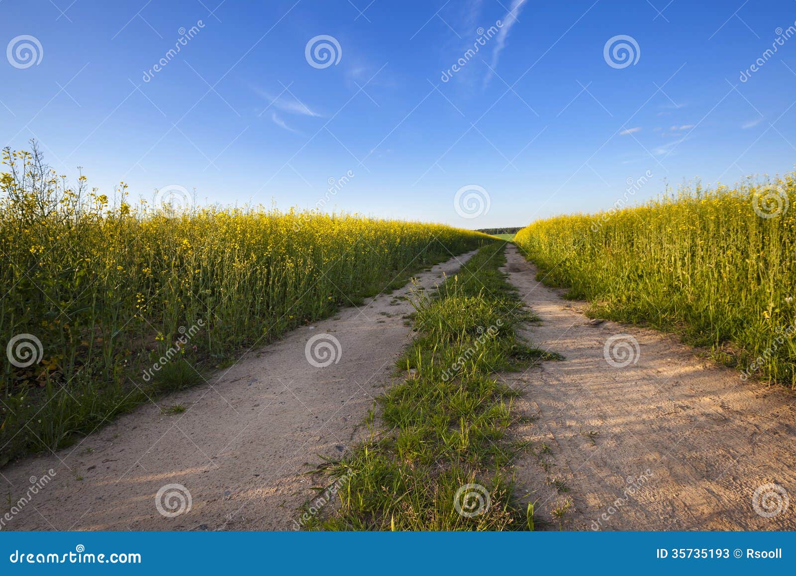 The rural road stock image. Image of empty, highway, landscape - 35735193