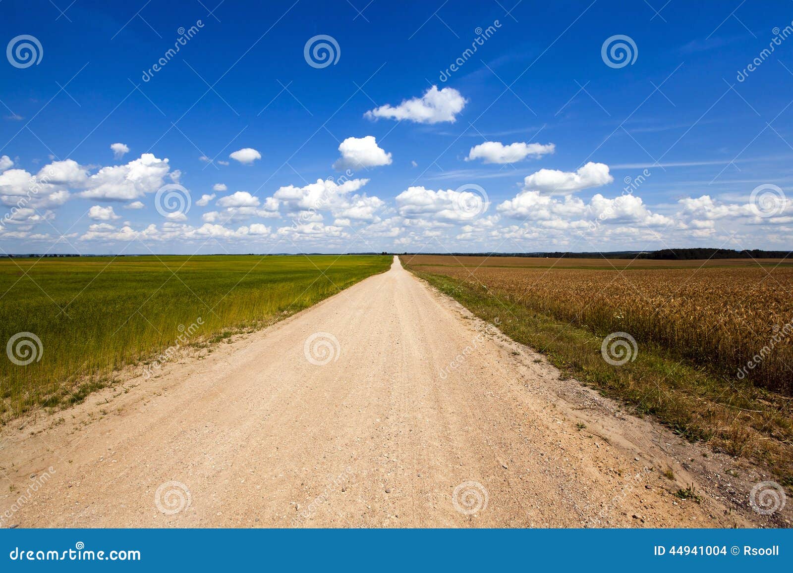 The rural road stock photo. Image of branch, industry - 44941004