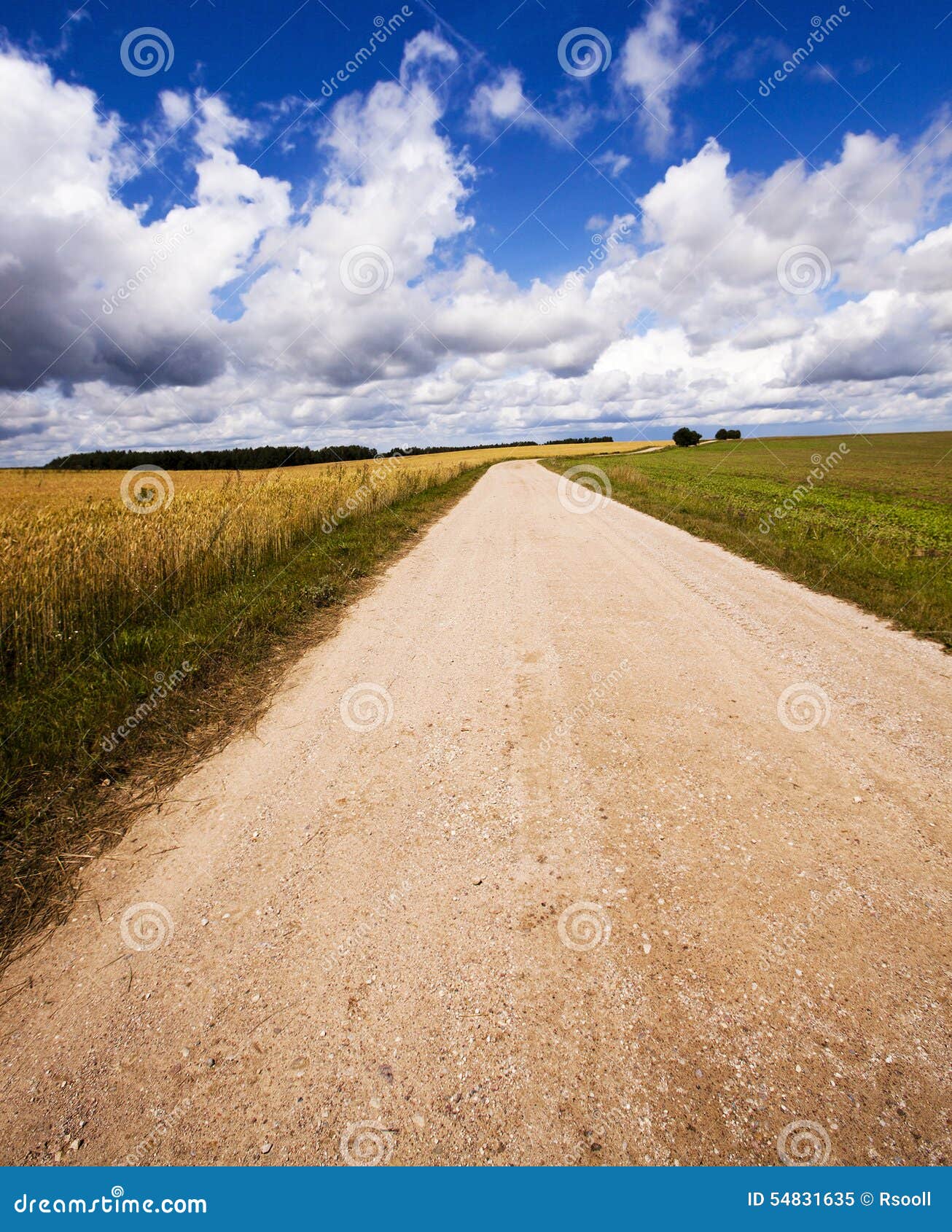The rural road stock image. Image of line, nonurban, freshness - 54831635