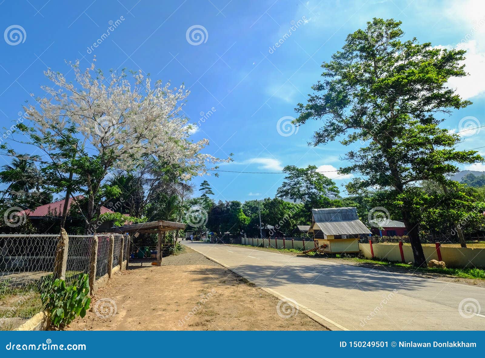 Rural Road in Palawan, Philippines Stock Image - Image of asphalt ...