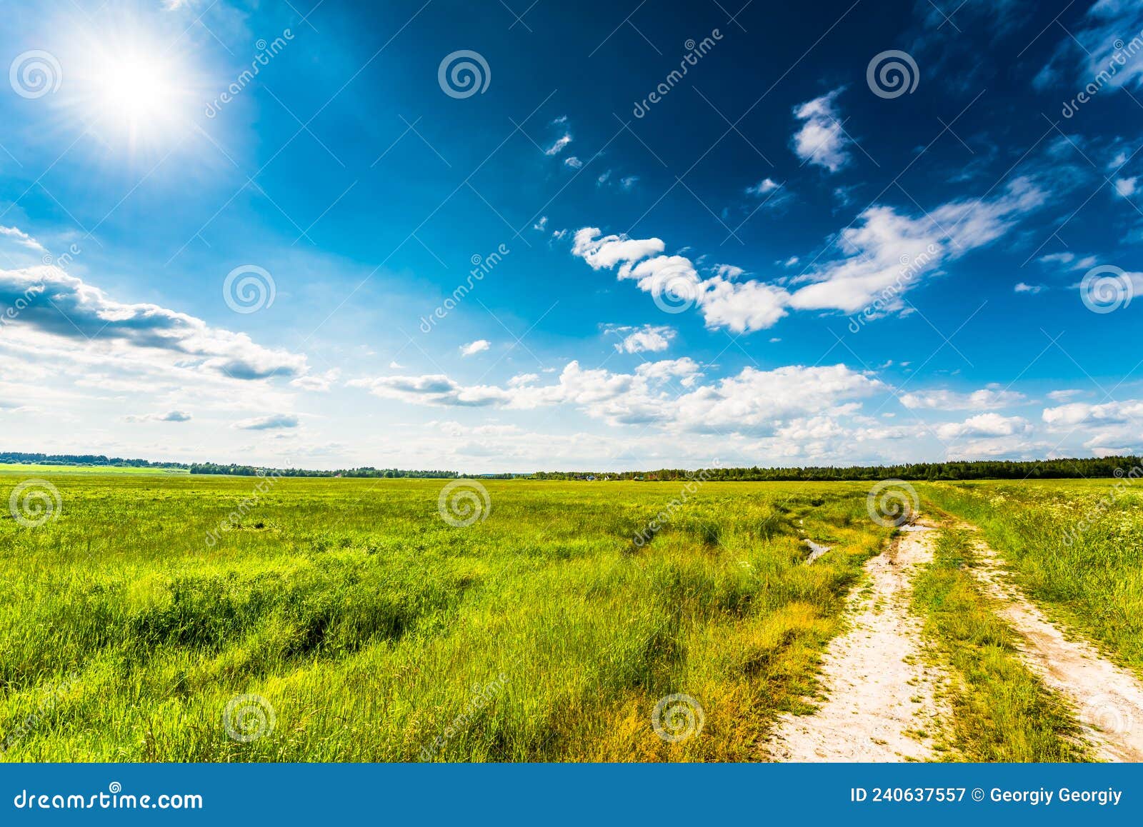 Rural Road Running through a Field Stock Image - Image of agriculture ...