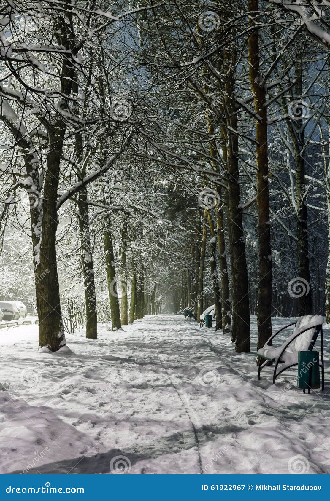Rural Road in the Snow at Night Stock Image - Image of december, frozen ...
